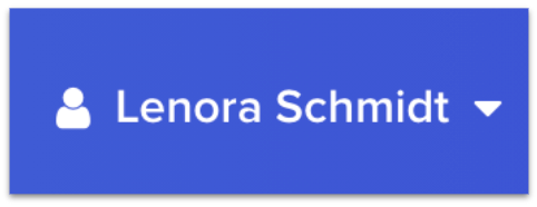 Clever Portal: Display Names