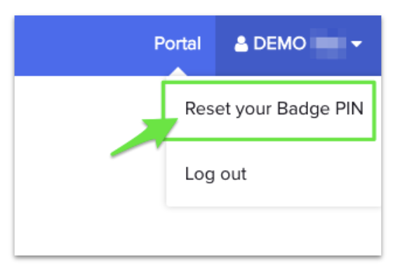 For Teachers: Clever Badges - PINs